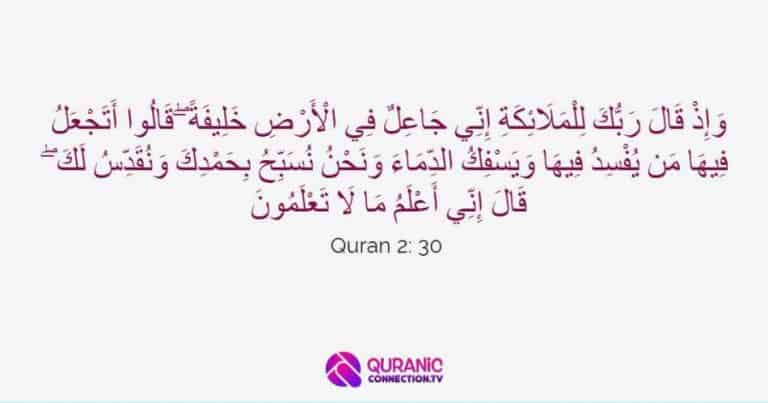 Your Destiny in Islam - The Muslim Life Coach Institute for mastering ...