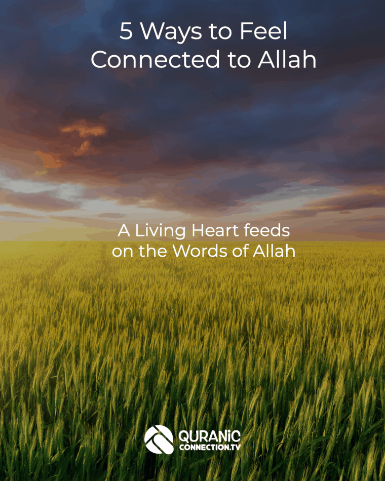 A Heart Connected to Allah - Build your Relationship - The Muslim Life ...